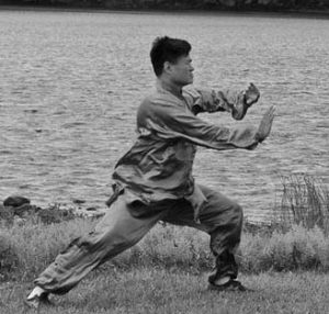 Master Wang Haijun Tai Chi | About - Master Wang Haijun Tai Chi